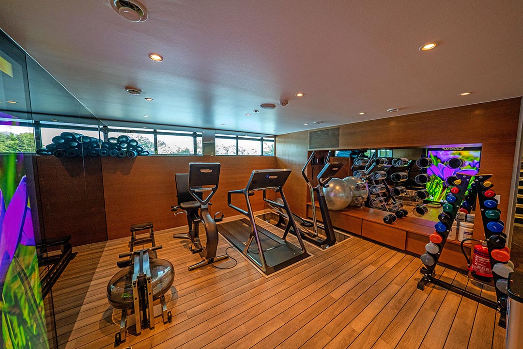 7 Night Gems of the Danube on Scenic Crystal | AAdvantage Cruises